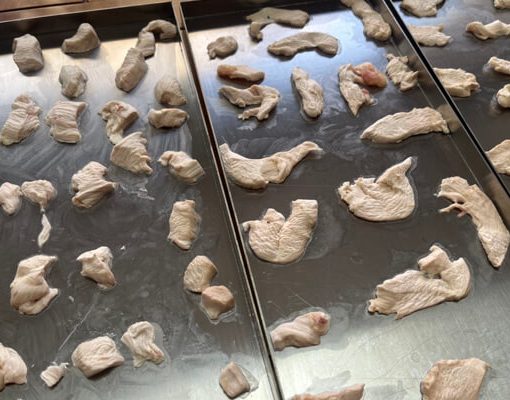 How to Freeze Dry Meat Using a Freeze Dryer - freeze dryer