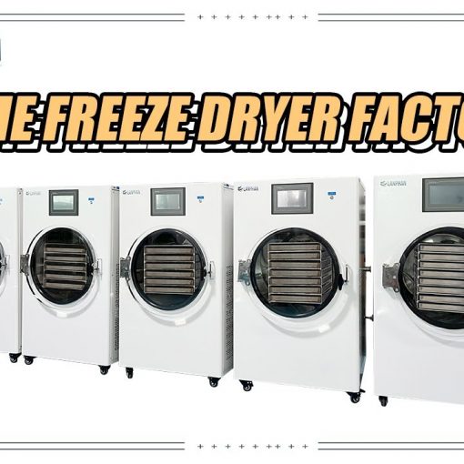 Freeze-Dried Skittles | Lyophilization Machine - freeze dryer