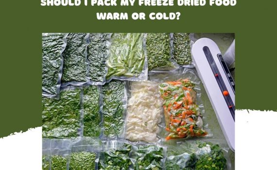 Freezing Dry Tips Archives - freeze dryer